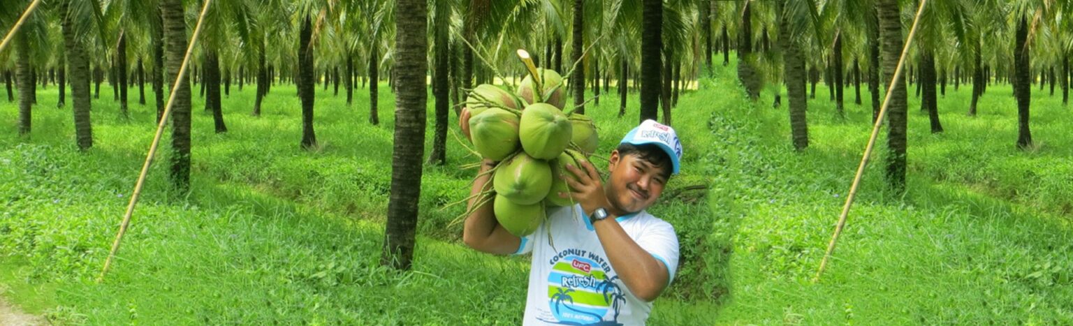 Manufacturing - UFC REFRESH COCONUT WATER